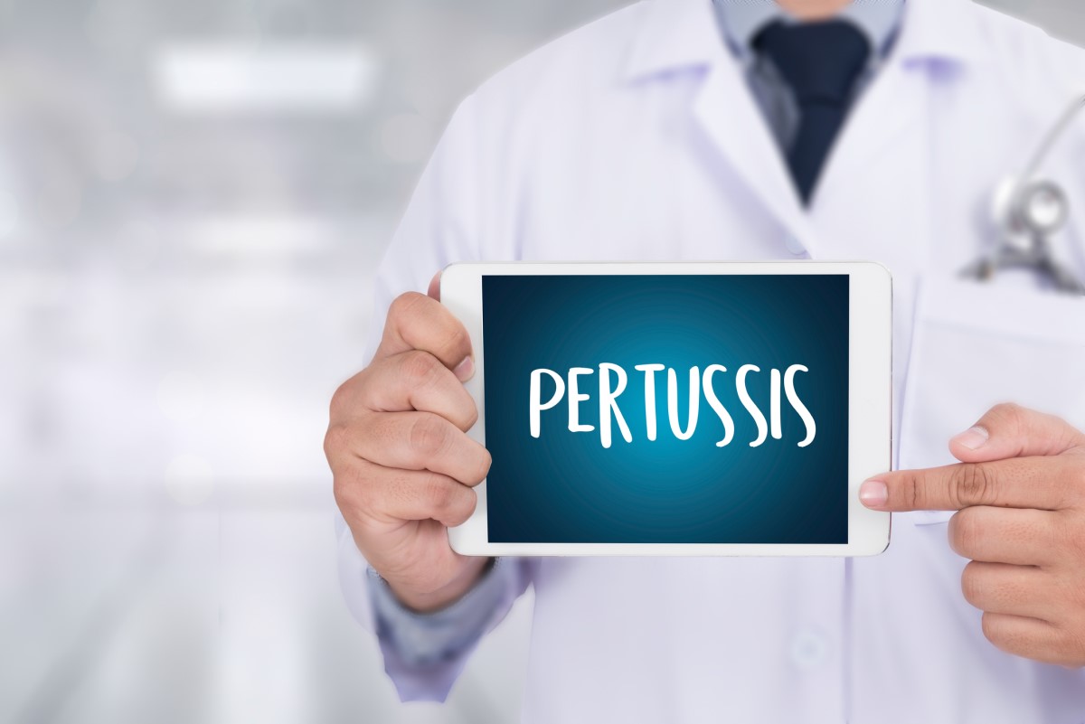La pertosse: inizia in modo subdolo, dura a lungo e minaccia bambini e ...